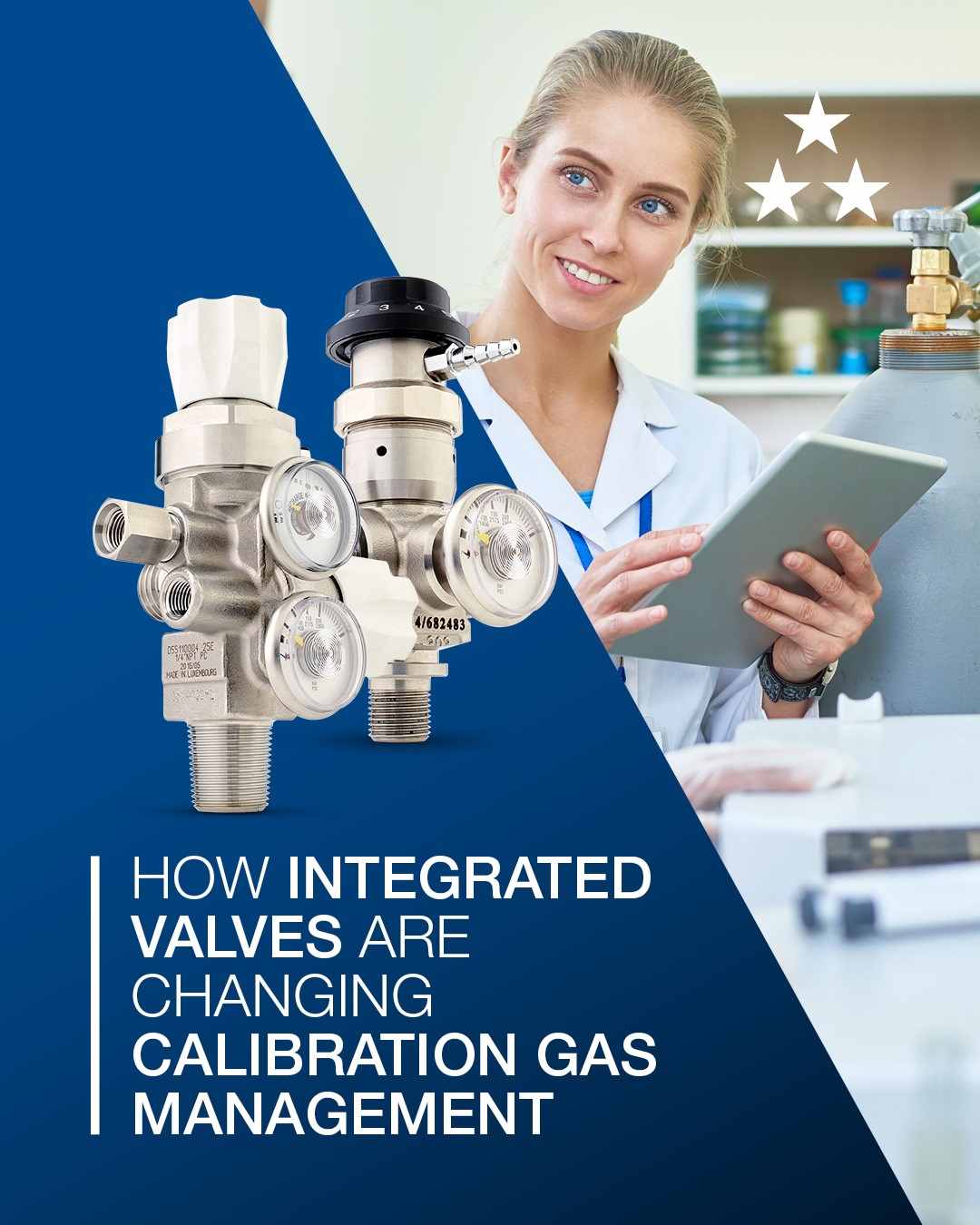 Integrated Valves: Revolution in Calibration Gas | Rotarex